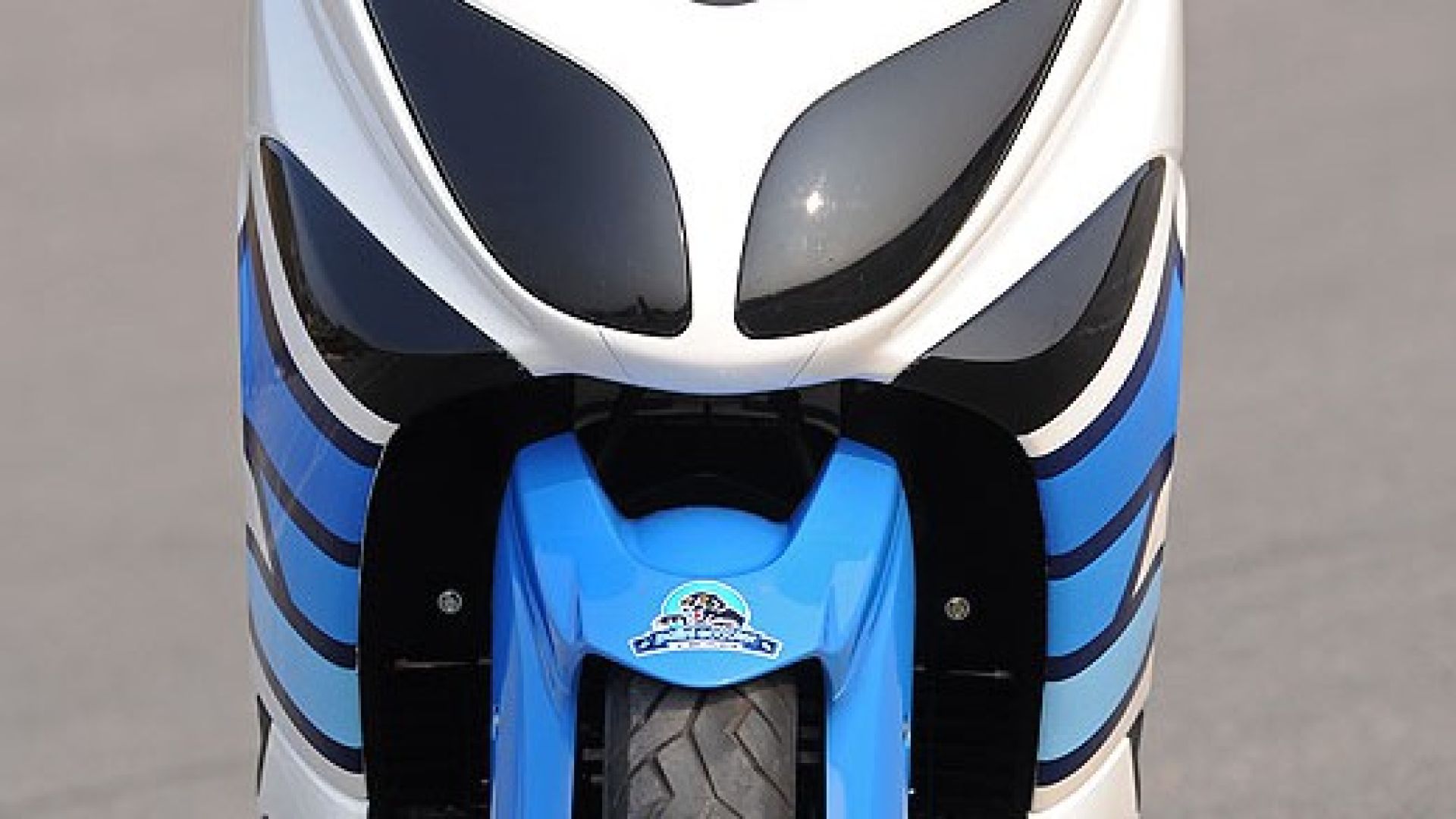 Prova | Polini Zip Evoluzione 3 & TMax Evoluzione