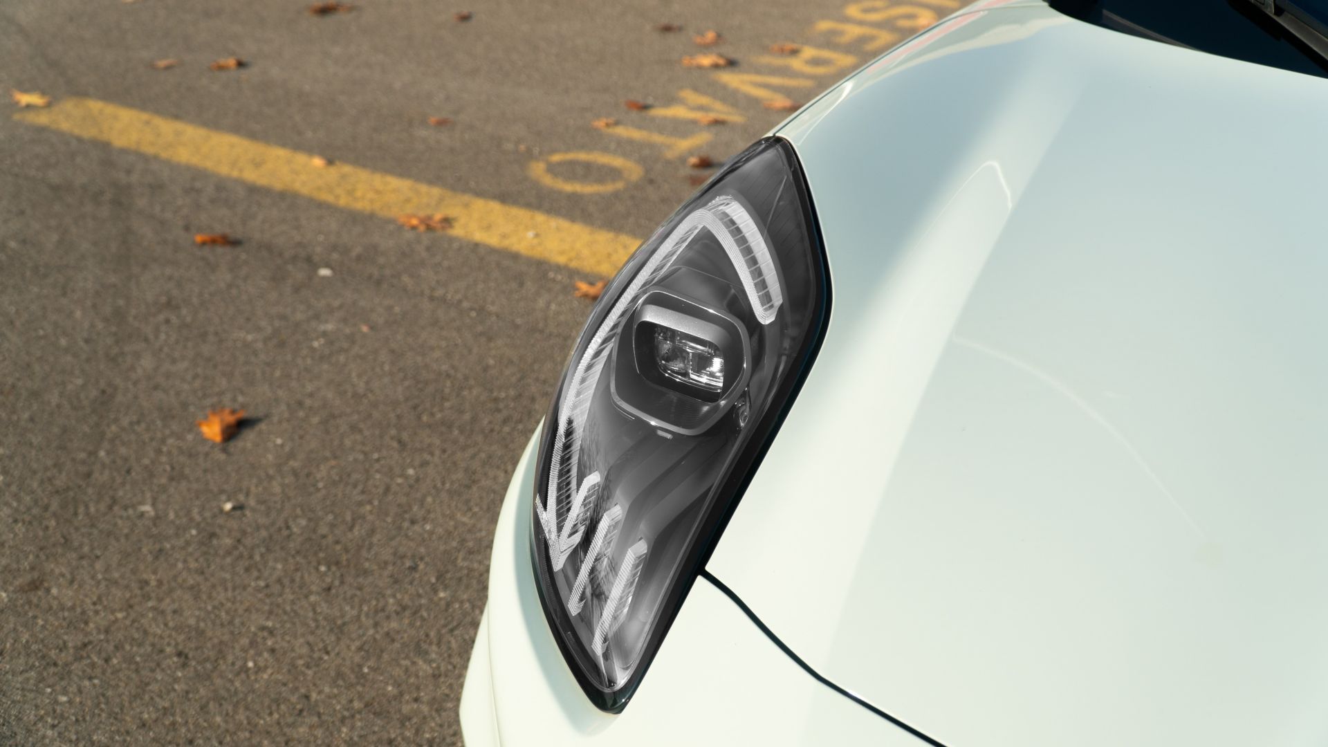 Long test della Ford Puma 155 CV: opinioni e prezzi