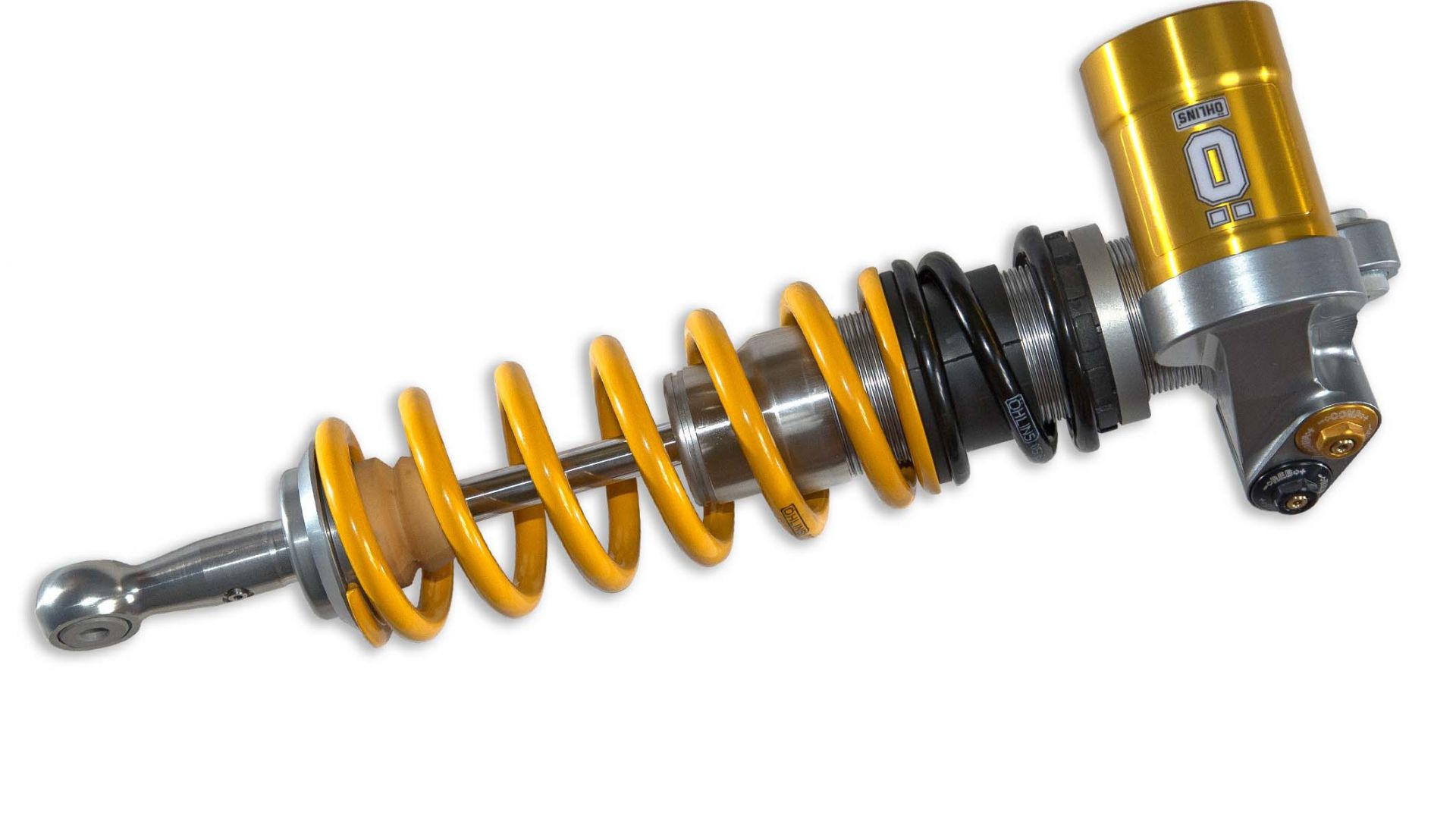 News - ÖHLINS TTX44 doppia molla - MotorBox