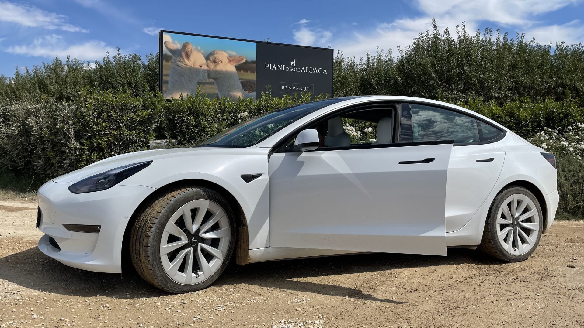 Quanto si svaluta una Tesla Model 3 usata? Scopri i dati reali