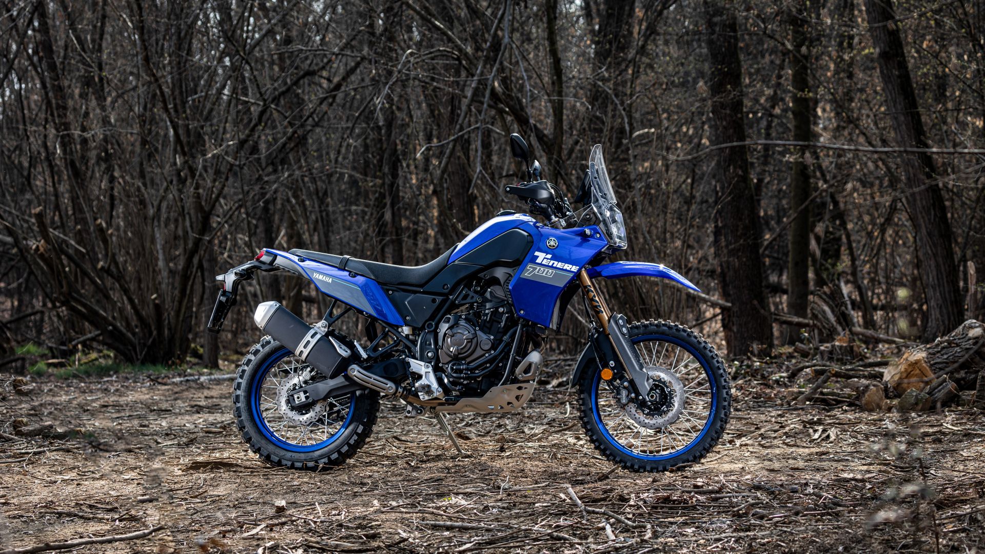 Yamaha Ténéré 700 2023: prova, prezzo, versioni Explore, Extreme